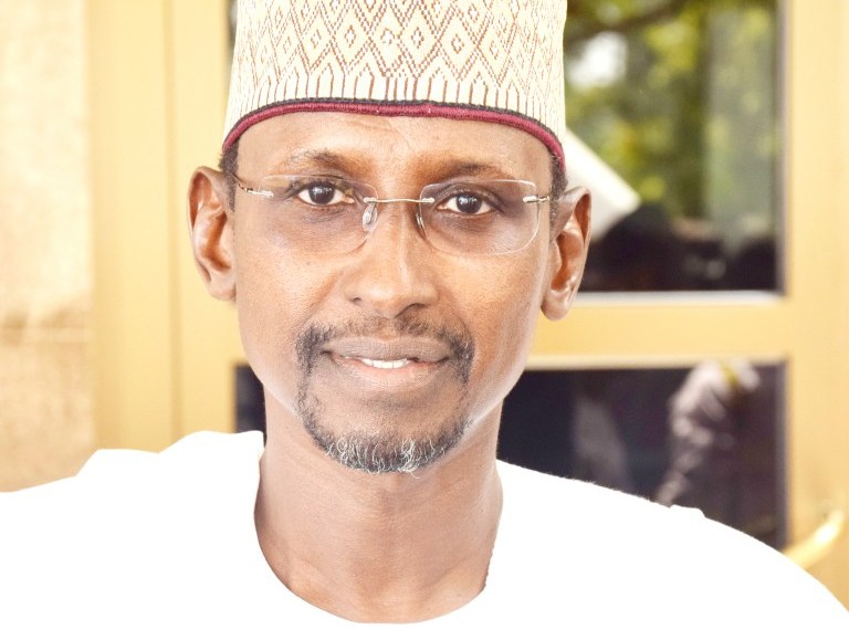 May 29: No Cows Will Loiter Streets of Abuja During Presidential ...