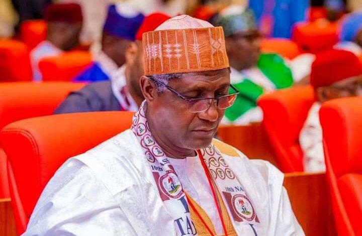Cholera outbreak: Northern senators commiserate with Borno govt over ...