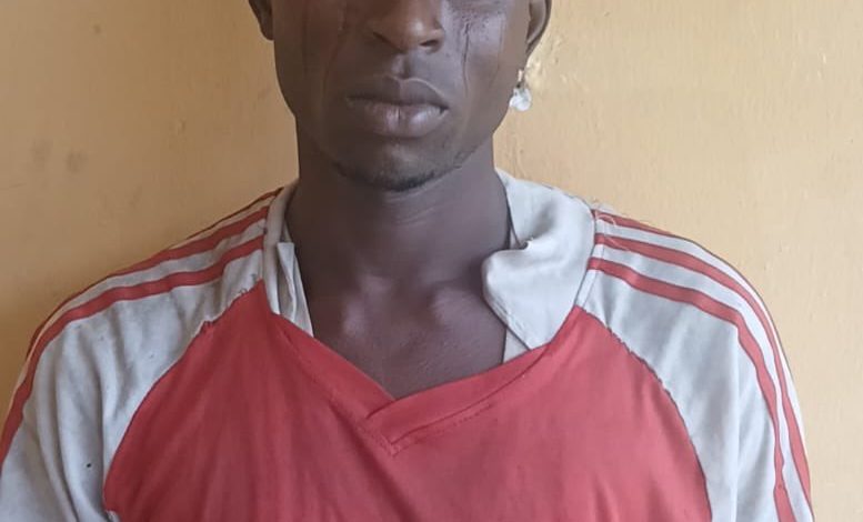 Military troops arrest ISWAP collaborator in Borno [PHOTOS] - Politics ...