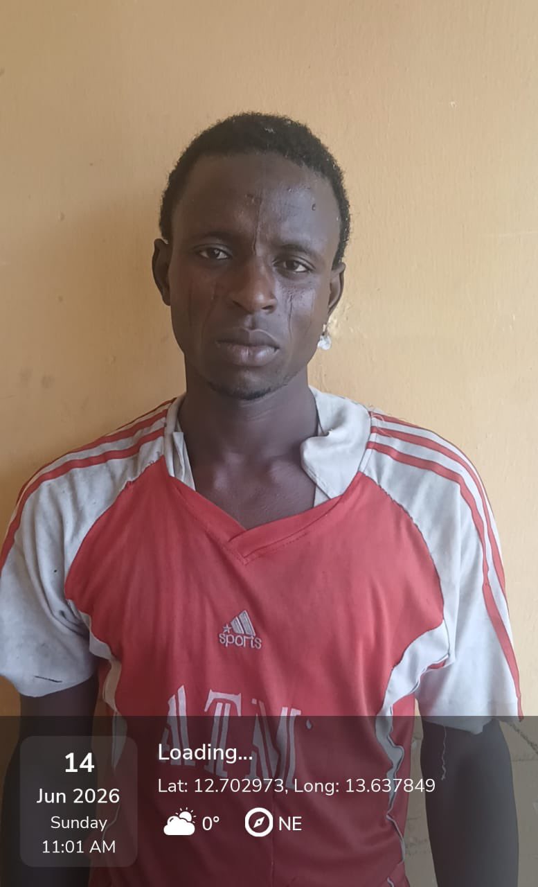 Military troops arrest ISWAP collaborator in Borno [PHOTOS] - Politics ...