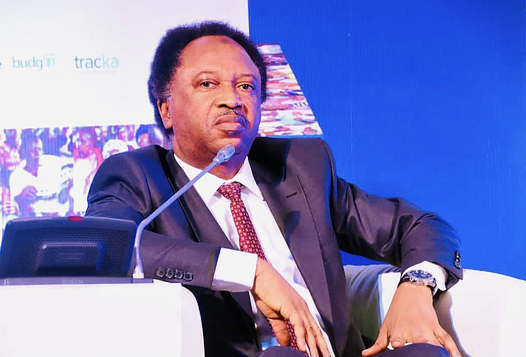 Senator Shehu Sani Gets New Appointment - Politics Nigeria
